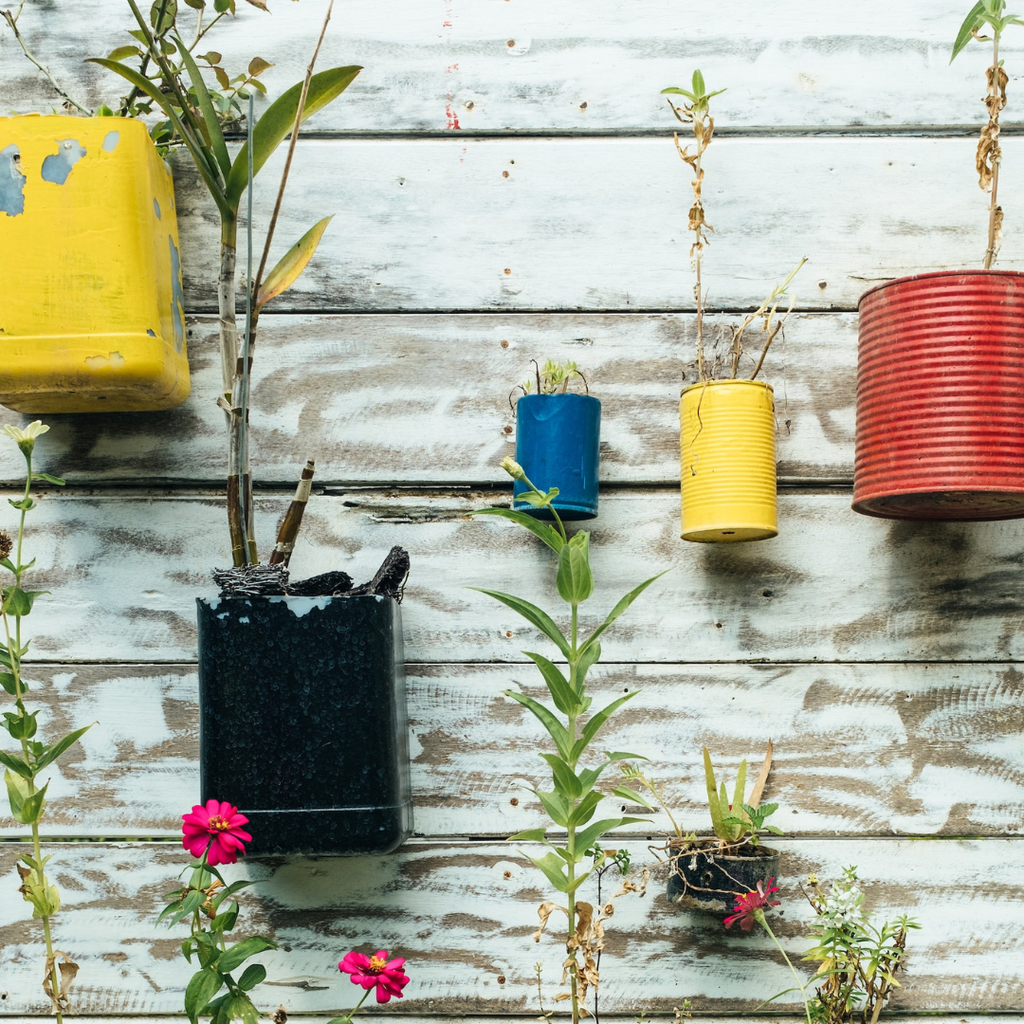 The Ultimate Guide To Recycling – Protect the Planet