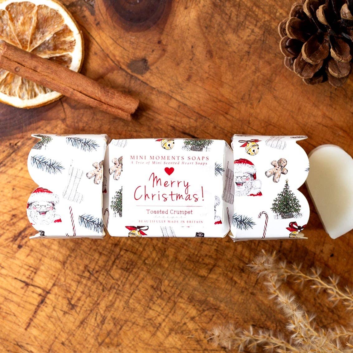 All Things Jolly Boxed Mini Soaps – Protect the Planet