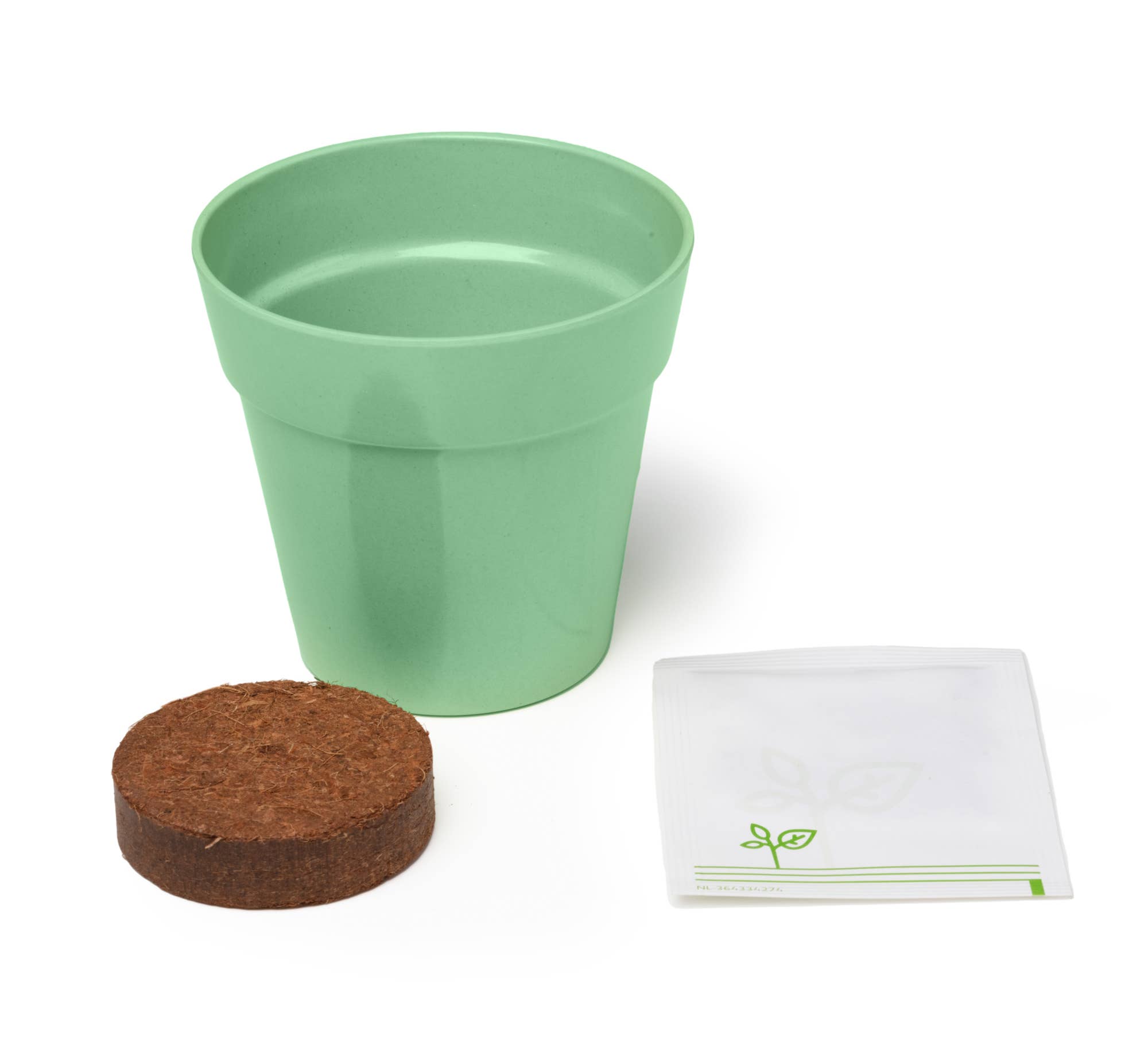 Grow Your Own Dancing Plant – Fun Mimosa Kit for Kids – Protect the Planet