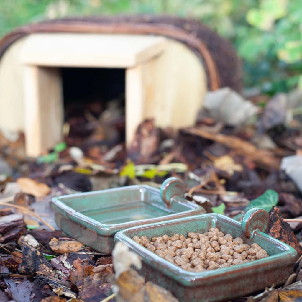 Hedgehog Bowl – Wildlife Garden Feeding Dish – Protect the Planet